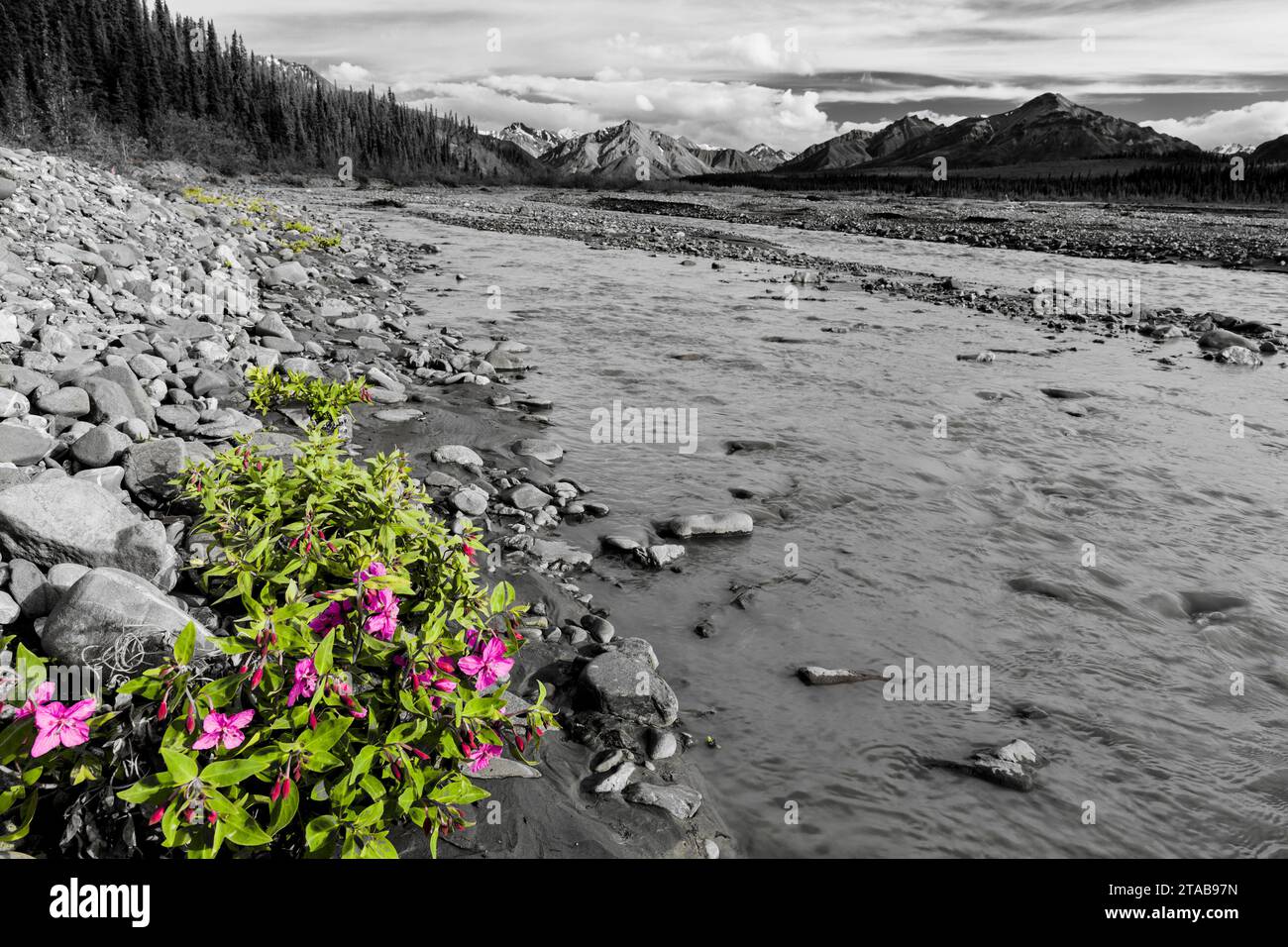 Teklanika river hi-res stock photography and images - Alamy