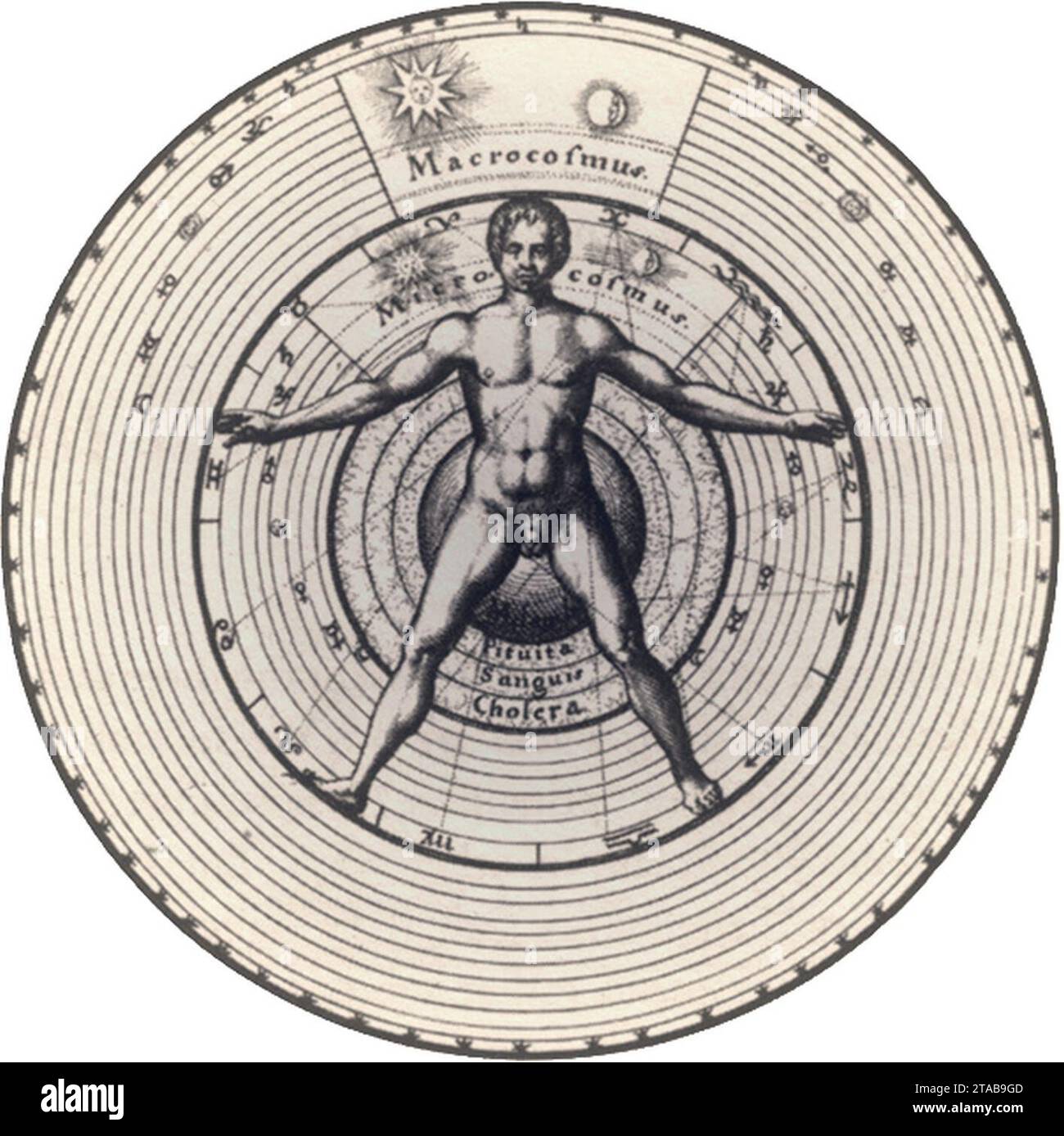 Macrocosm hi-res stock photography and images - Alamy