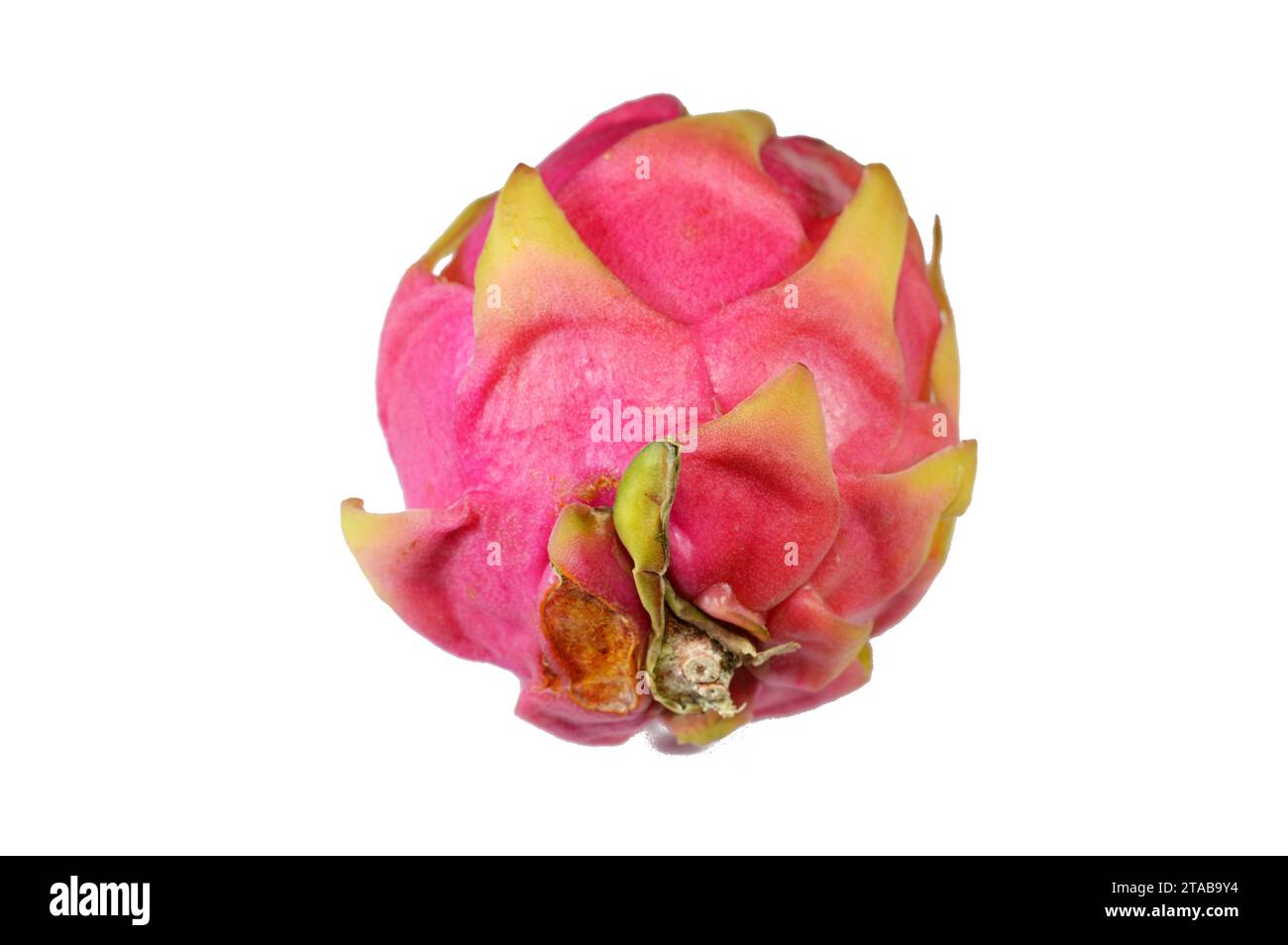 Dragon fruit, pitaya, pitahaya, fruit of the genus Selenicereus ...
