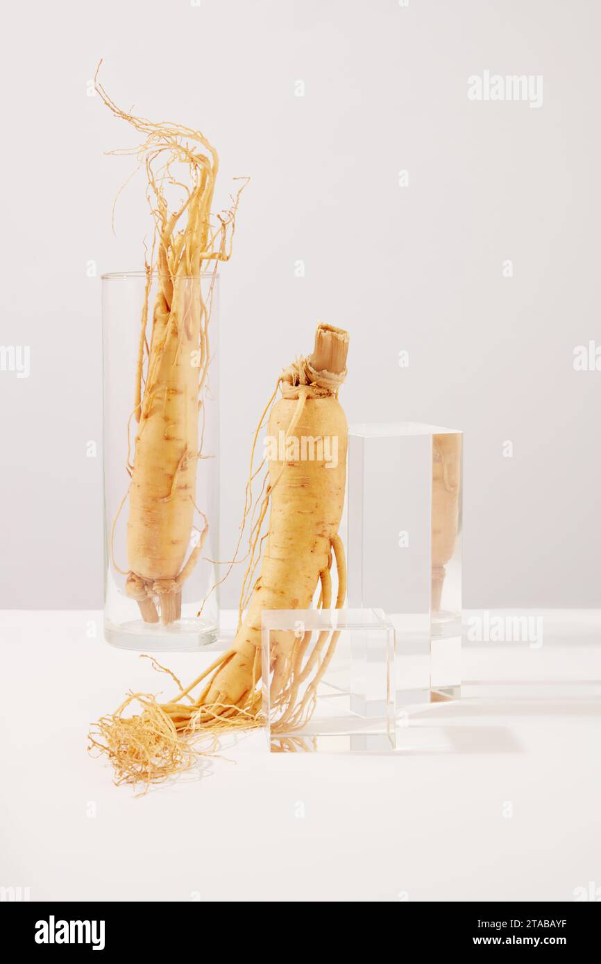 Minimal concept for advertising product extract of ginseng. Fresh ...
