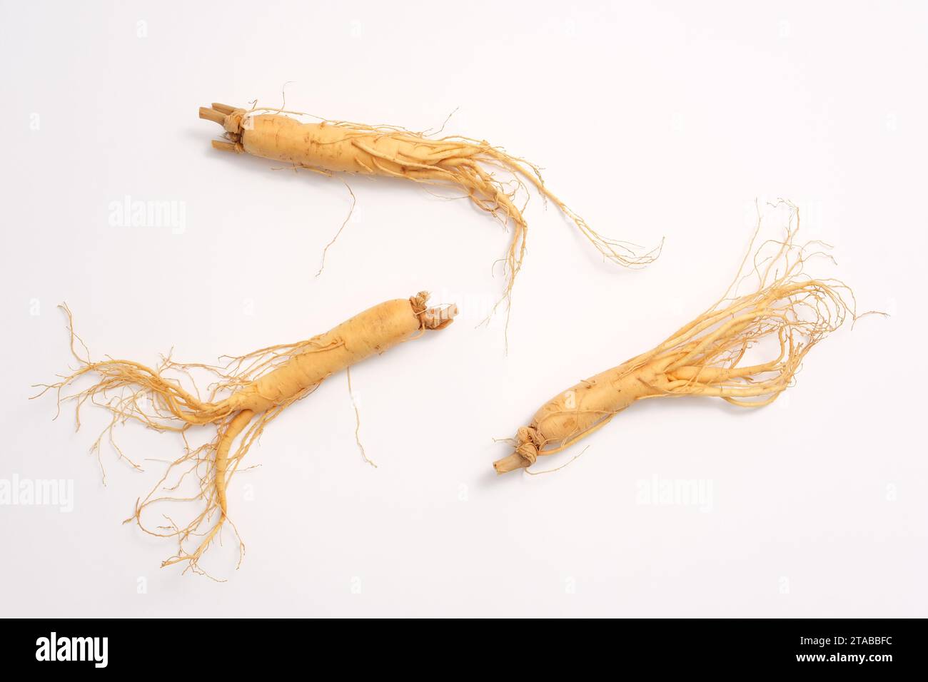 On the white background, fresh ginseng roots isolated. Minimalist scene ...