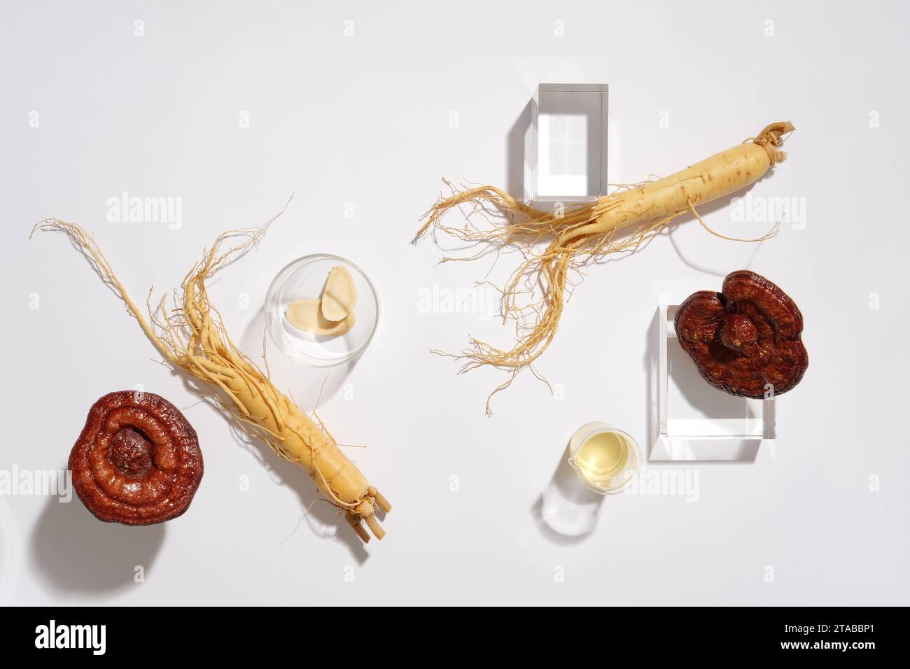 Modern concept for advertising and branding cosmetic with ginseng and ...