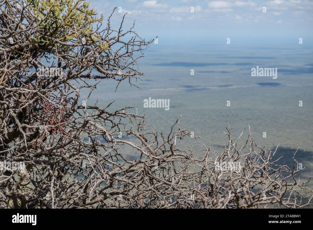 View of the horizon where you can see a dry bush Stock Photo - Alamy