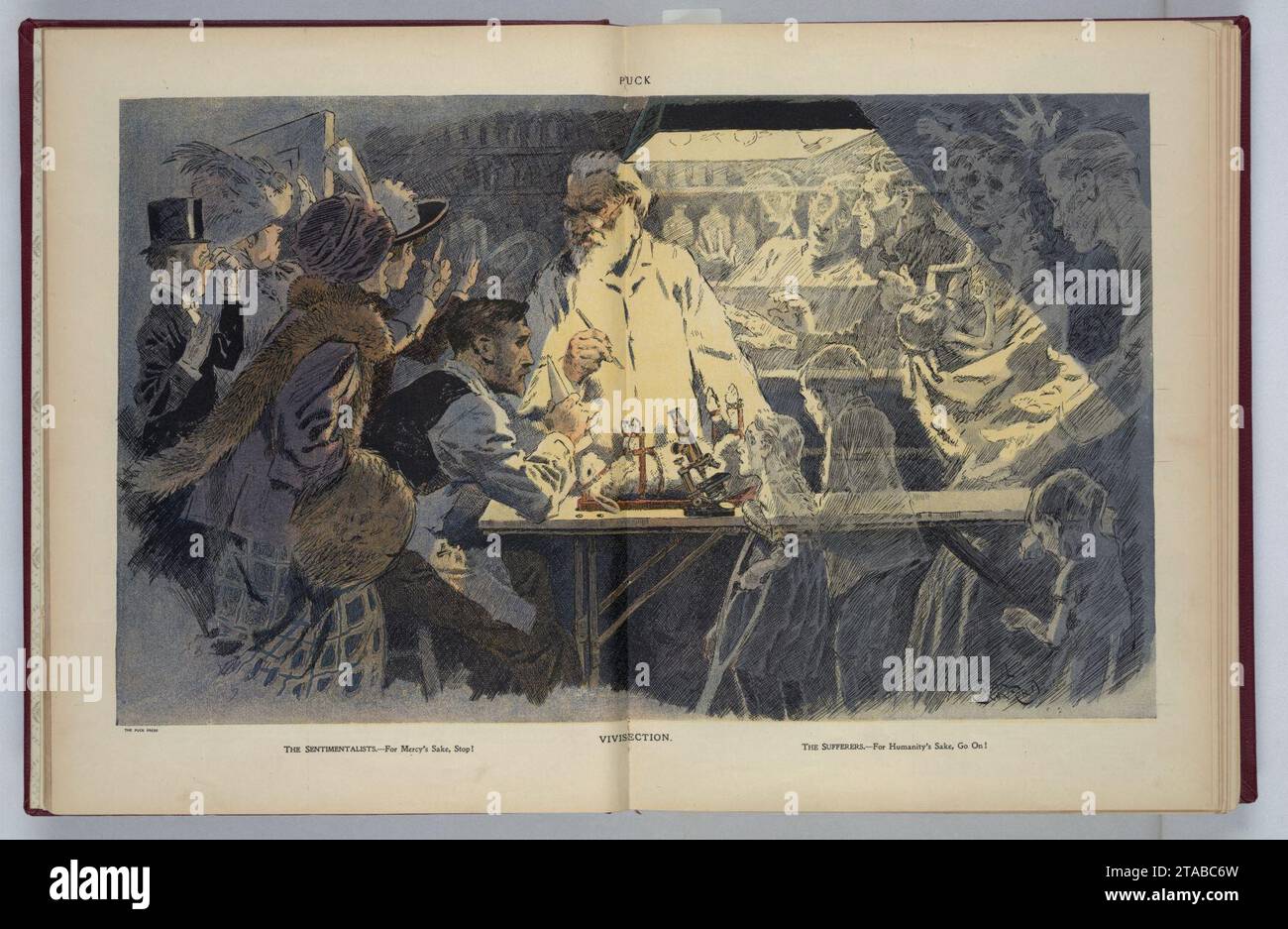 Vivisection historical hi-res stock photography and images - Alamy