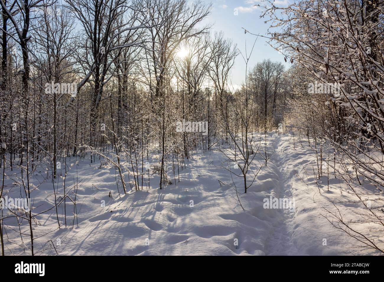 Winter snowy landscape with a pedestrian path running through an ...