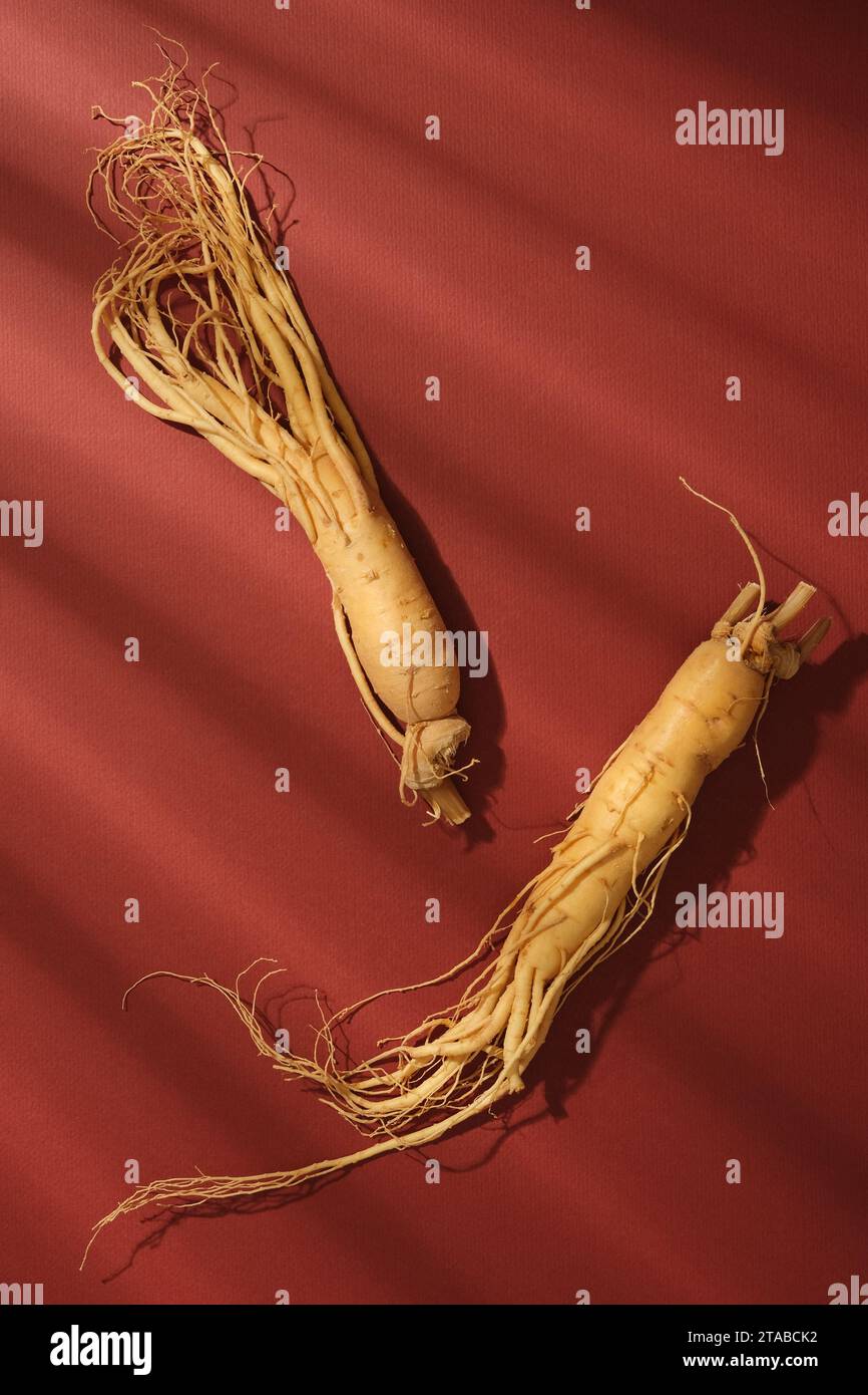 Inflammatory markers hi-res stock photography and images - Alamy Inflammatory markers hi-res stock photography and images - Alamy