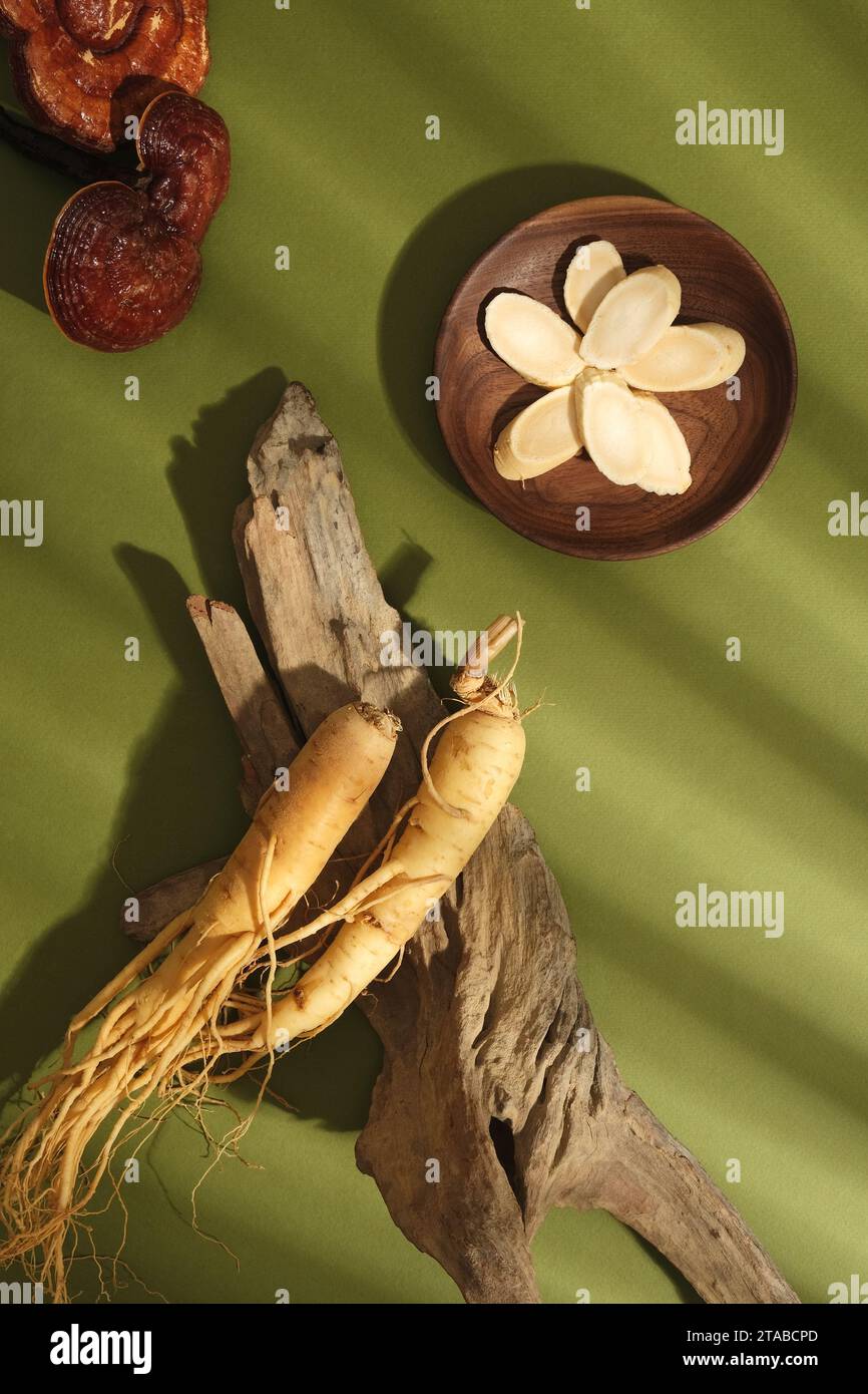 Top view of ginseng slices on wooden dish, ginseng roots on dry twig ...