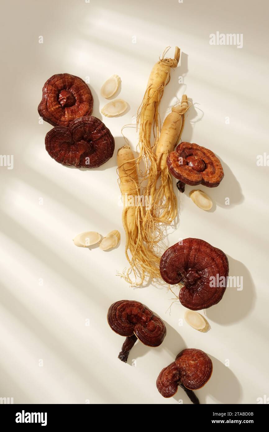 Background for advertising with the concept of folk medicine, rare ...