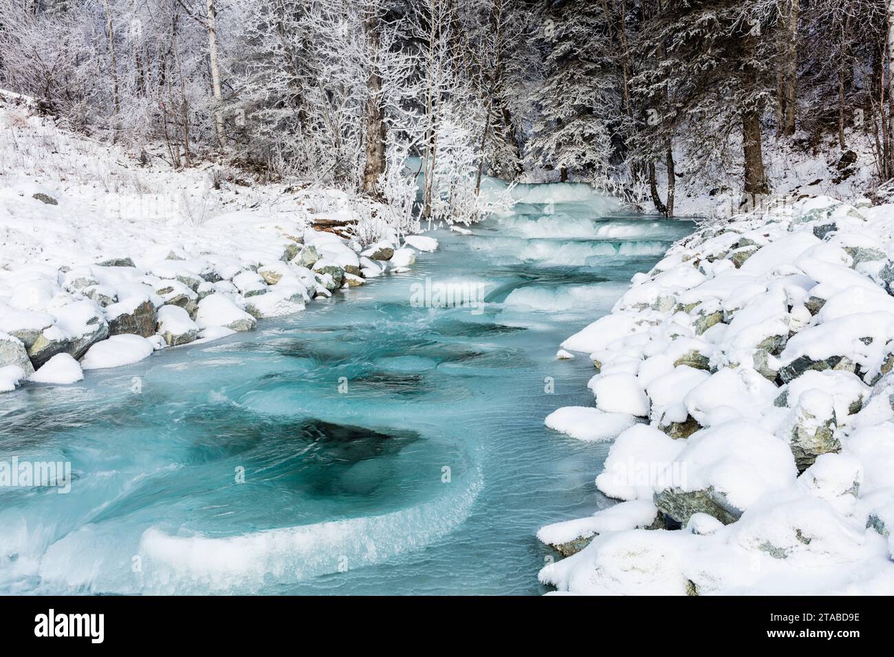 Frozen stream, Chugach State Park, Alaska Stock Photo - Alamy