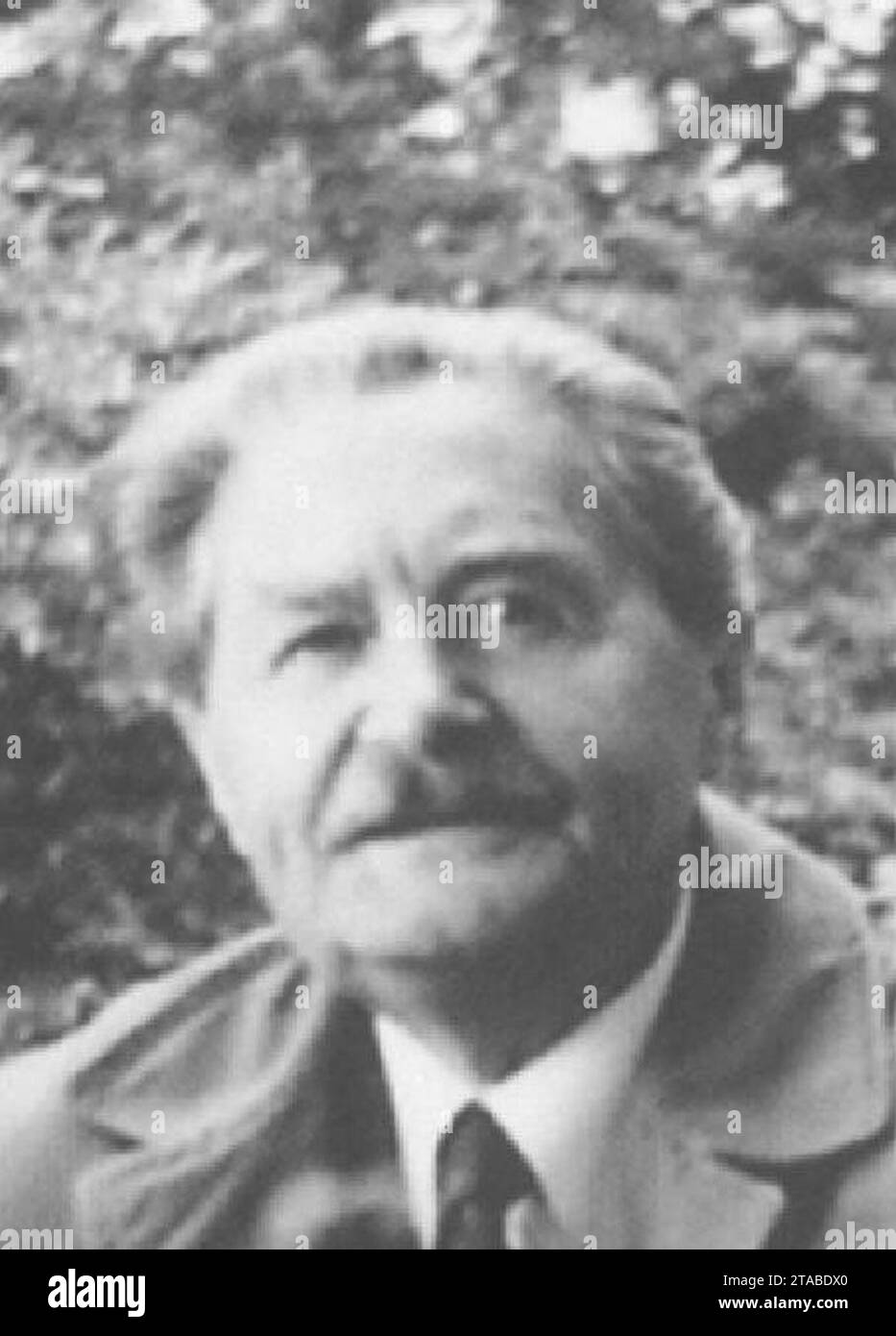 Vlastimil hi-res stock photography and images - Alamy