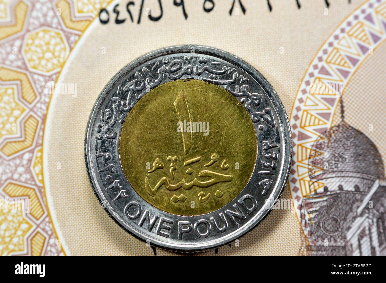 Reverse side of one Egyptian pound 1 EGP LE with value and date, with ...