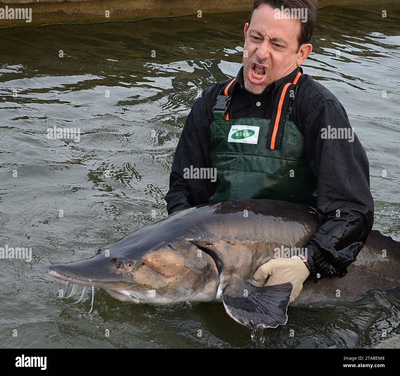 - Caviar farm in South Korea - 2 Stock Photo - Alamy
