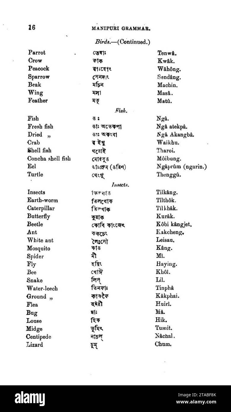 Vocabulary of Meitei language (Manipuri language) published in ''A ...