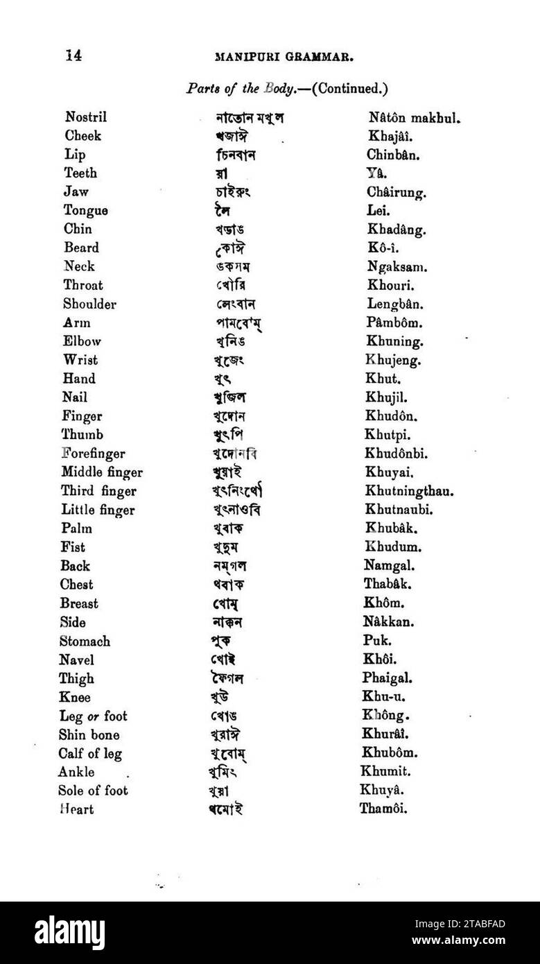 Meitei Cut Out Stock Images & Pictures - Alamy