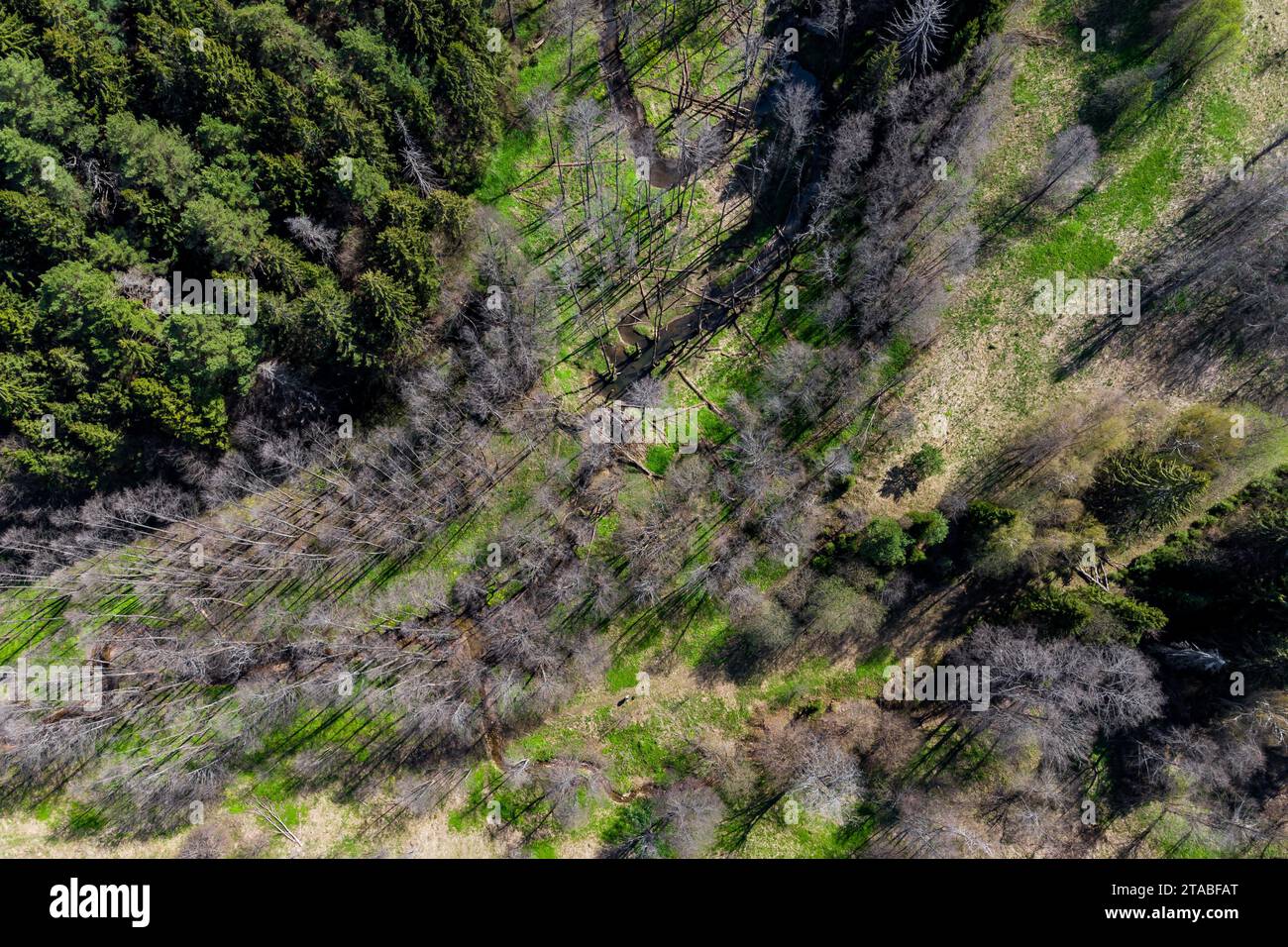 Aerial view of two forest streams converging into one Stock Photo - Alamy Aerial view of two forest streams converging into one Stock Photo - Alamy