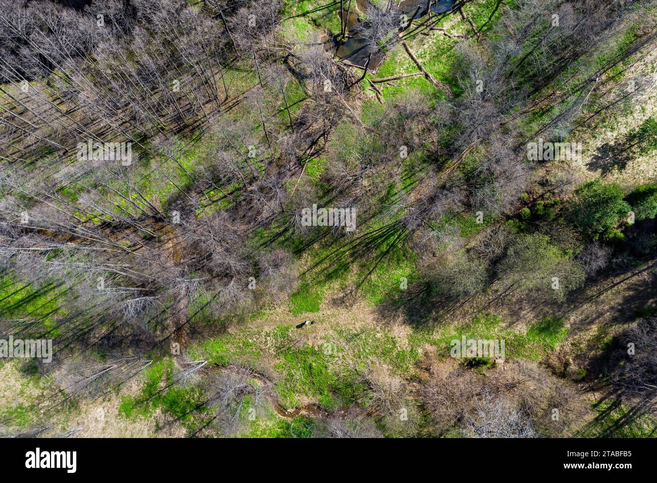 Converging earth hi-res stock photography and images - Alamy