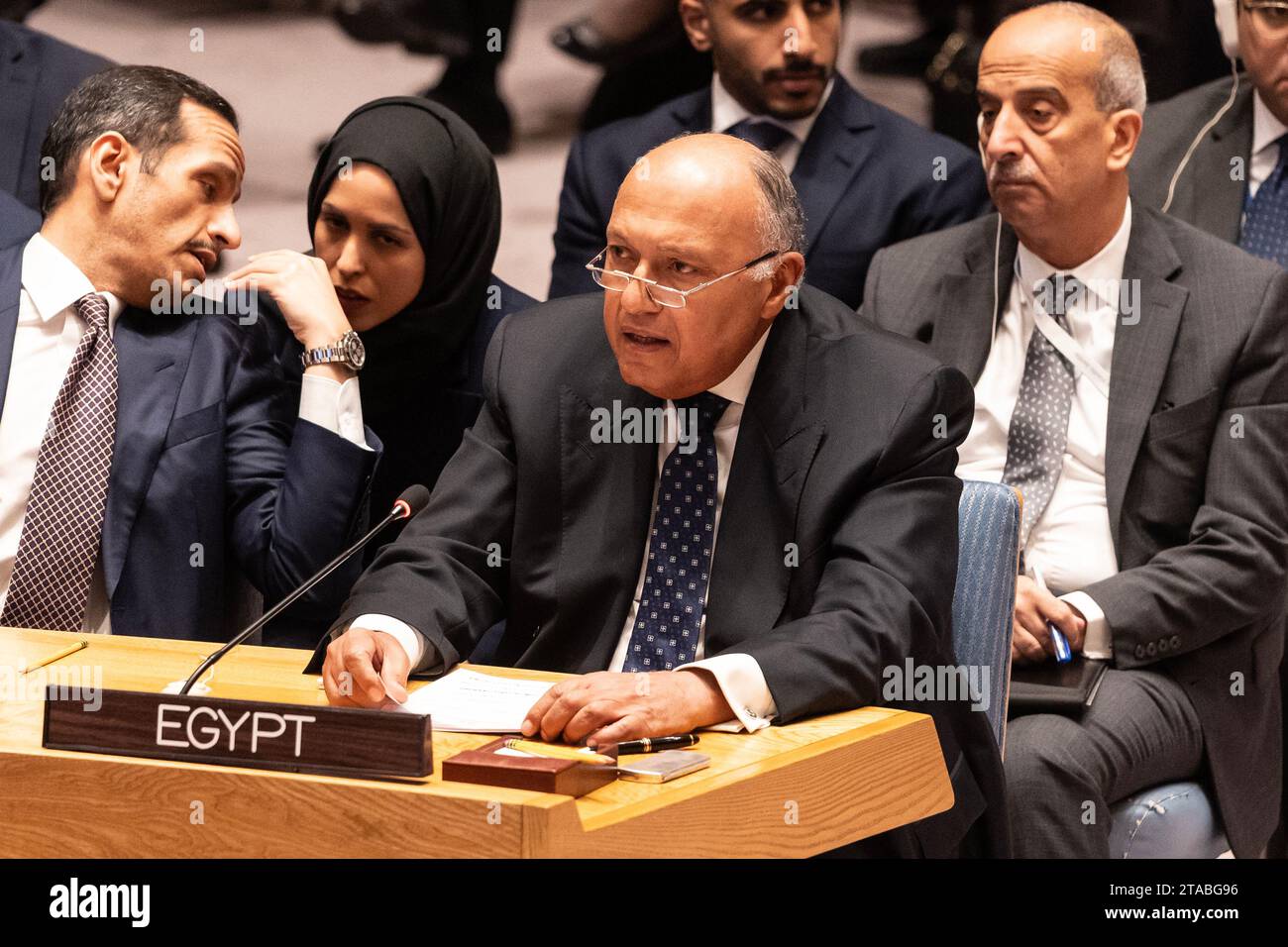 Sameh Hassan Shoukry Selim, Minister for Foreign Affairs of Egypt ...
