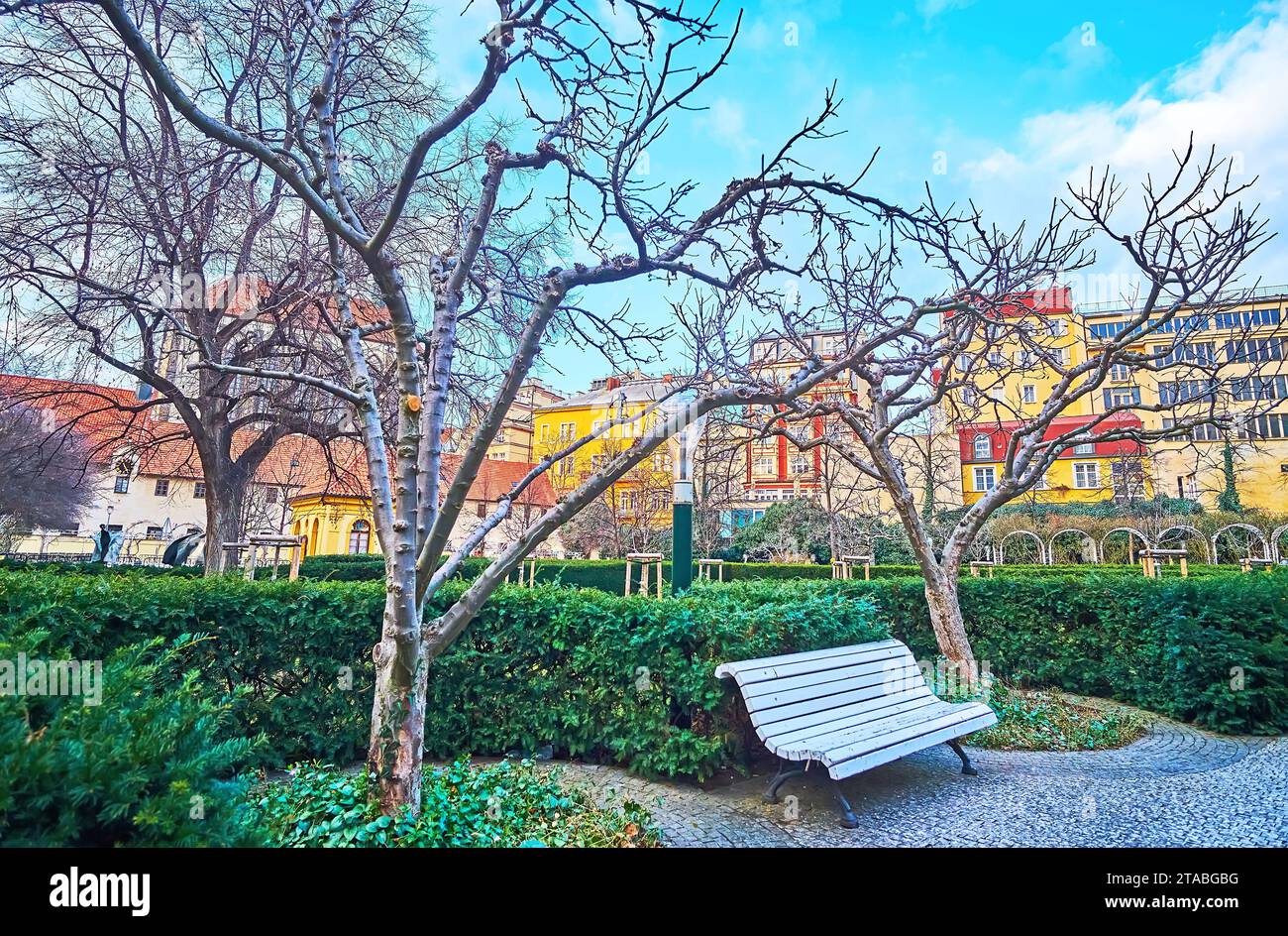 The Baroque Franciscan Garden with spread trees and pruned bushes ...