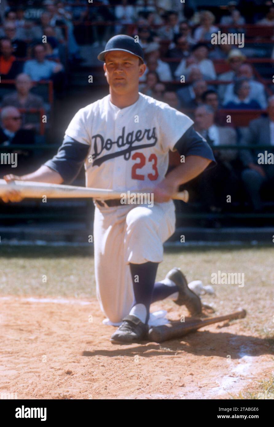 VERO BEACH, FL - MARCH, 1958: Don Zimmer #23 of the Los Angeles Dodgers ...