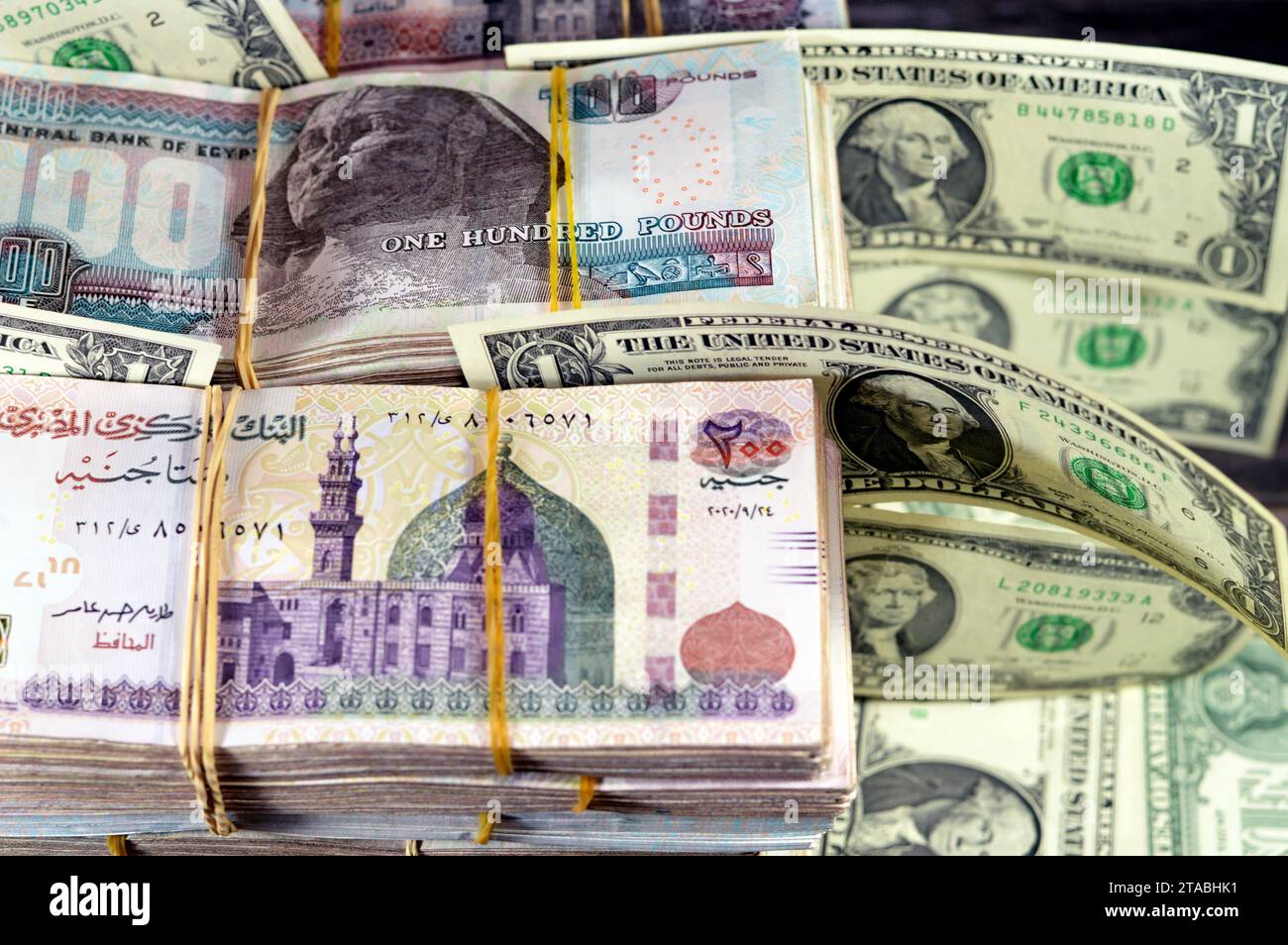 Stacks of Egypt money banknote bills EGP LE thousands of Pounds ...