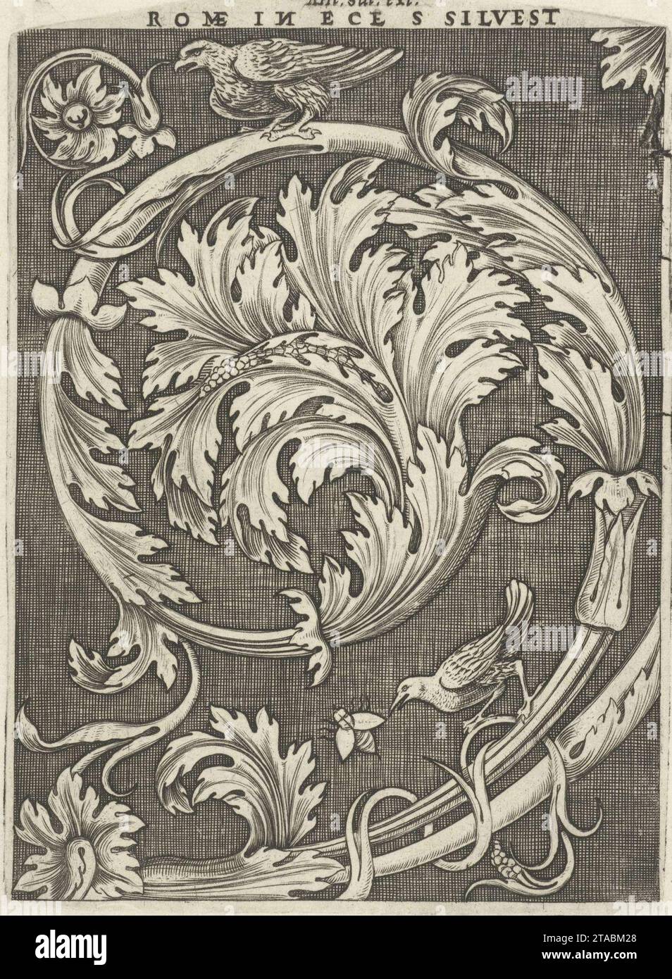 Voluut van acanthusbladeren waarop bovenaan een vogeltje zit Stock ...