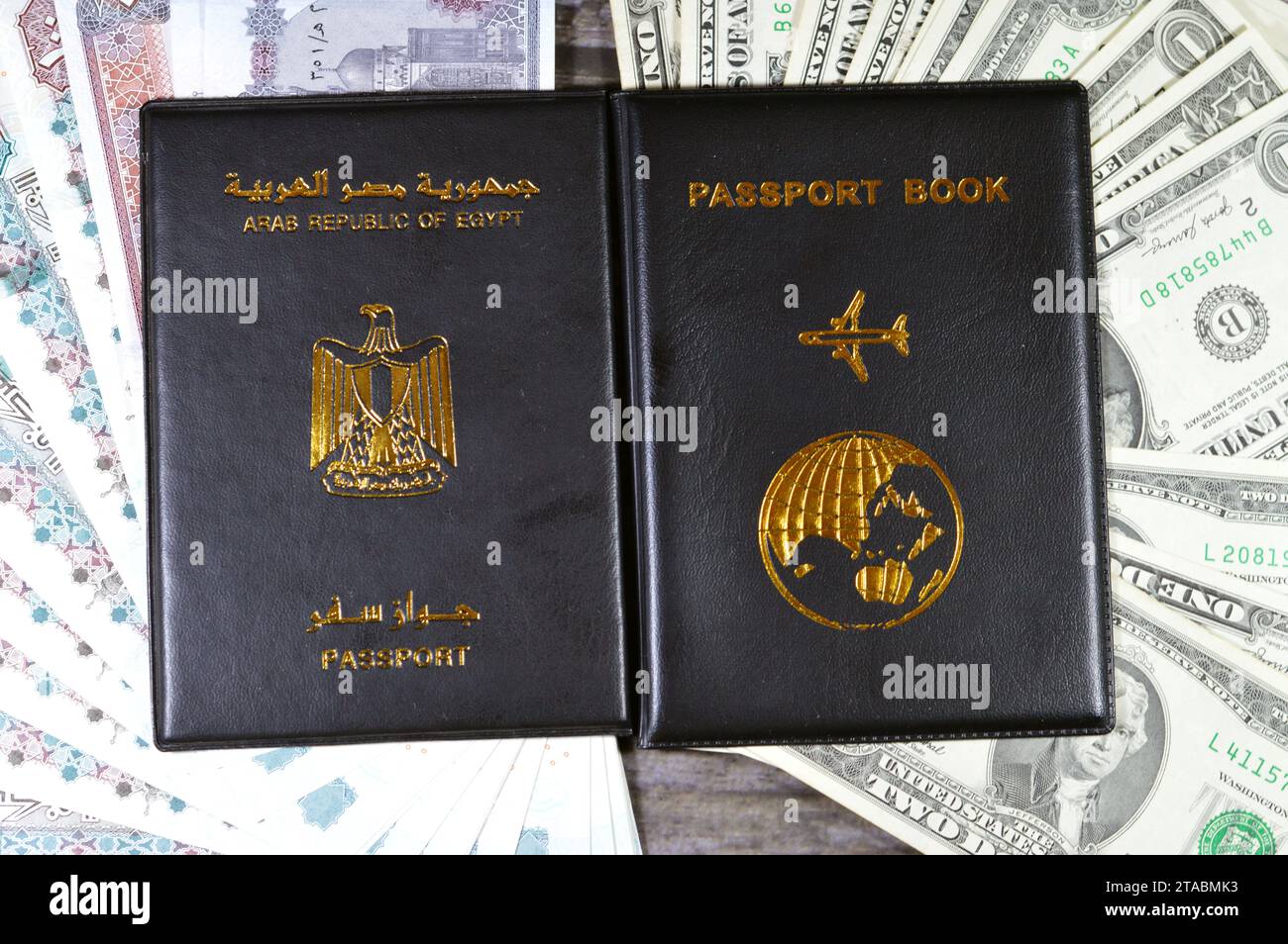 Egyptian passport black book, Translation of Arabic words (Arab ...