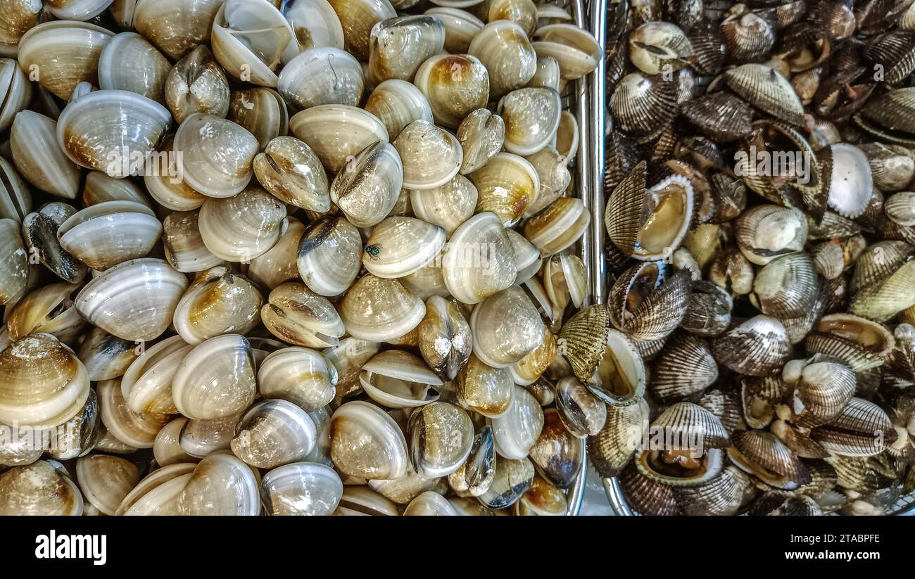 Piles of fresh raw shellfish as seafood sold at the market Stock Photo ...