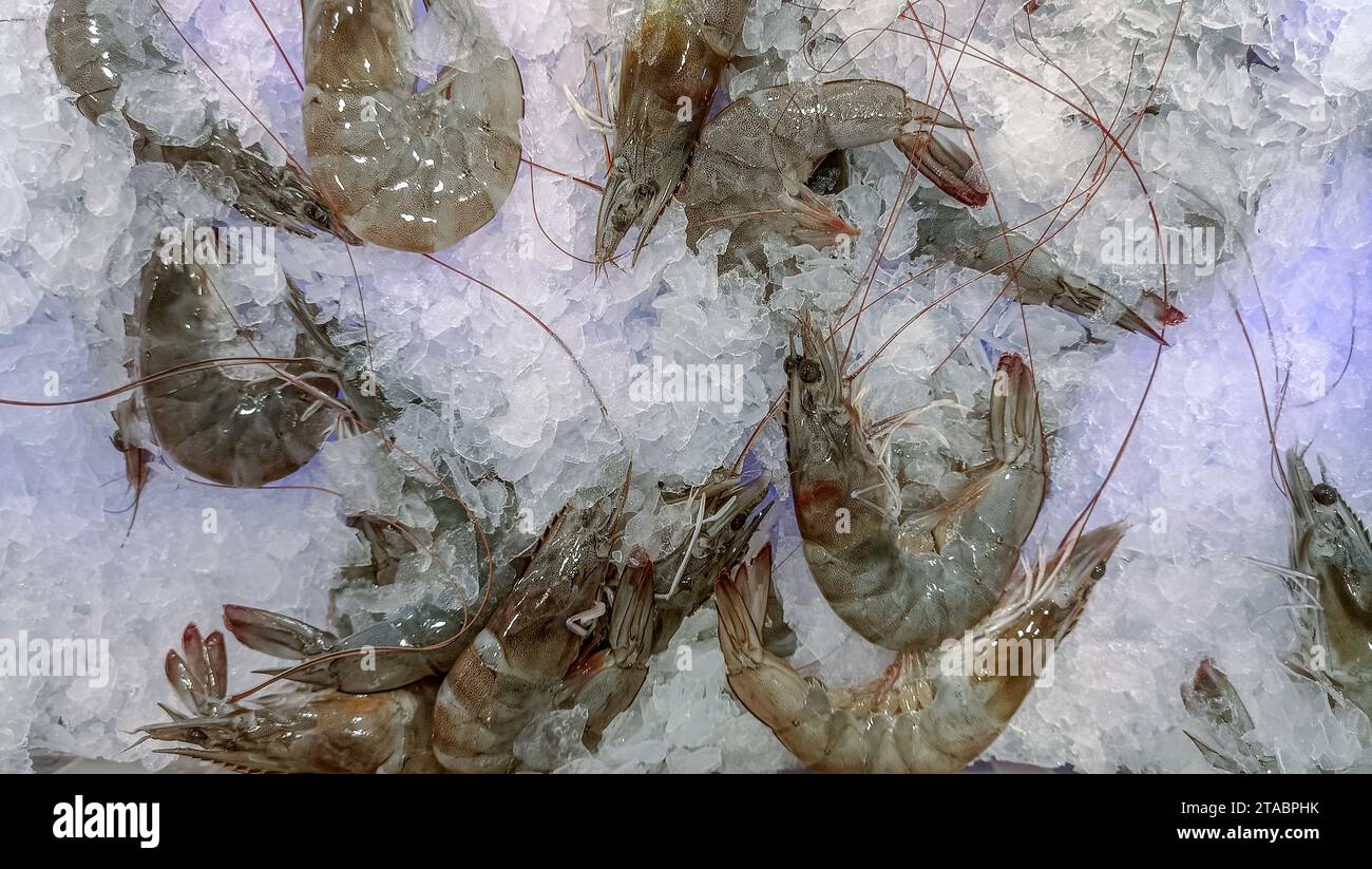 Fresh raw frozen shrimp sales at supermarkets Stock Photo - Alamy Fresh raw frozen shrimp sales at supermarkets Stock Photo - Alamy