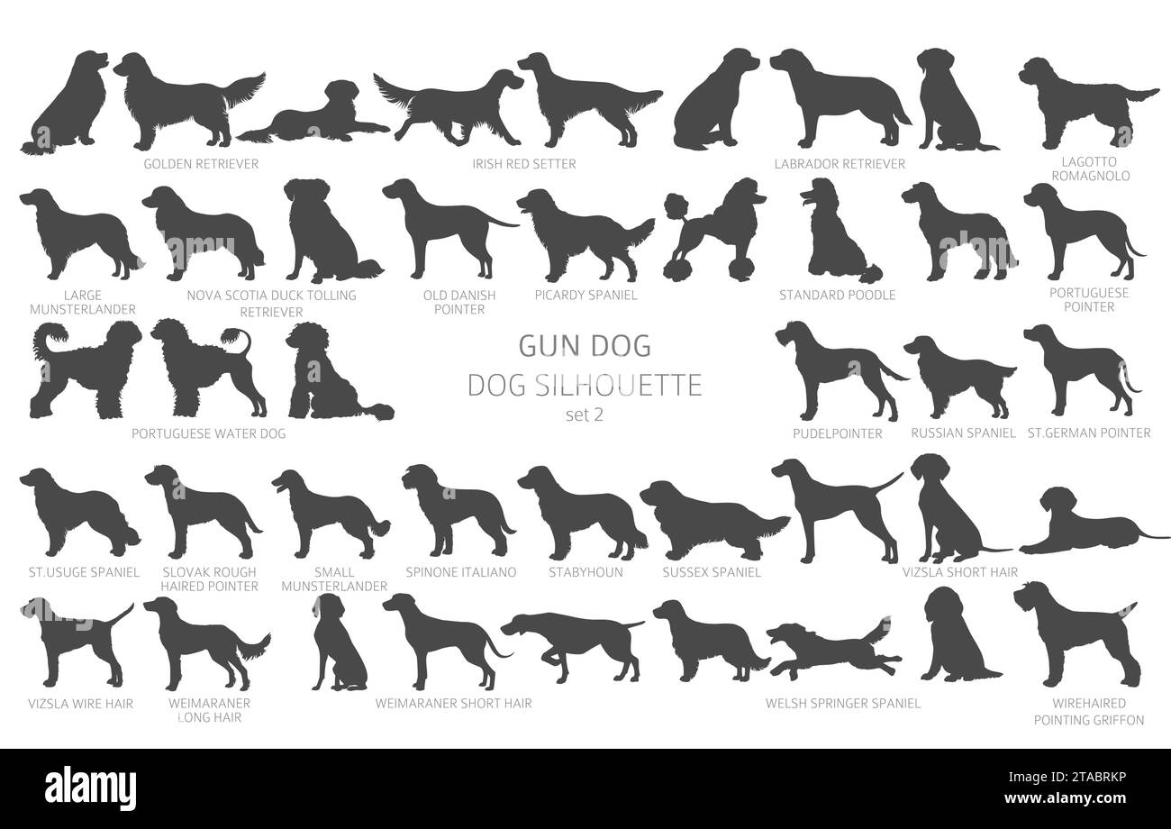 Dog breeds silhouettes, simple style clipart. Hunting dogs, Gun dogs ...