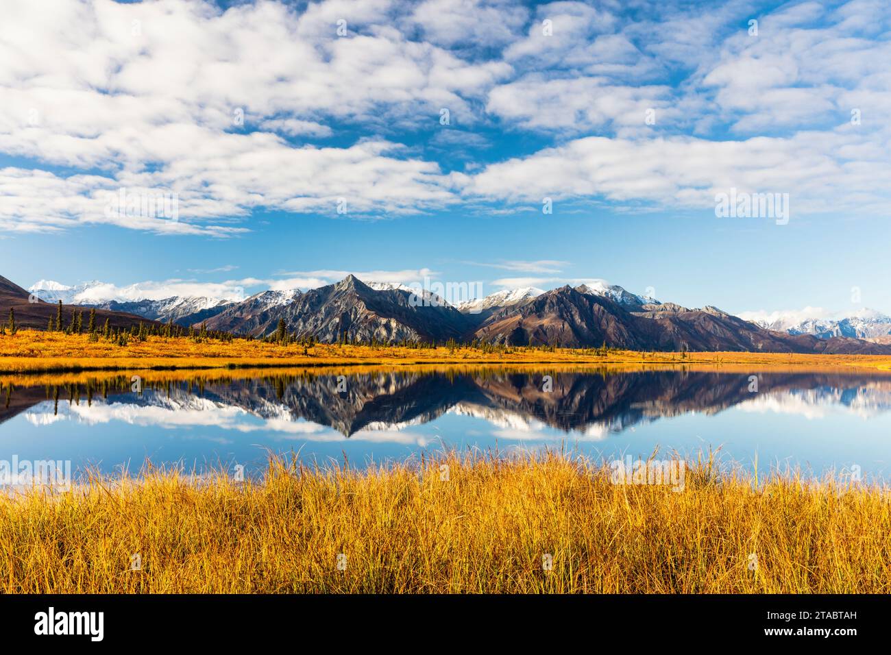 Matanuska valley hi-res stock photography and images - Alamy