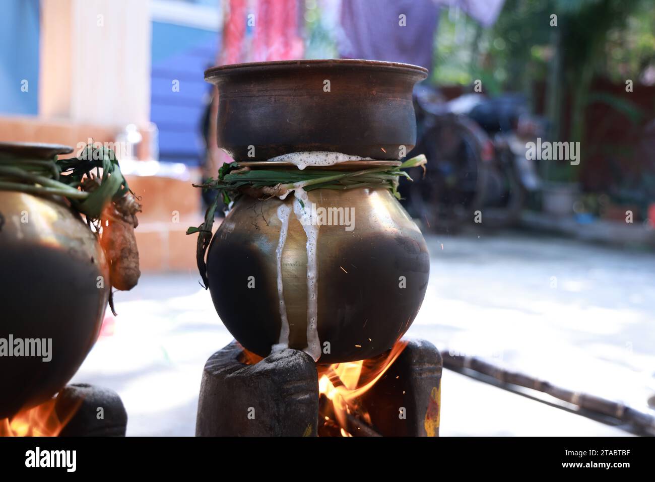 celebrating Traditional Thai Pongal festival to sun god with pot, lamp ...