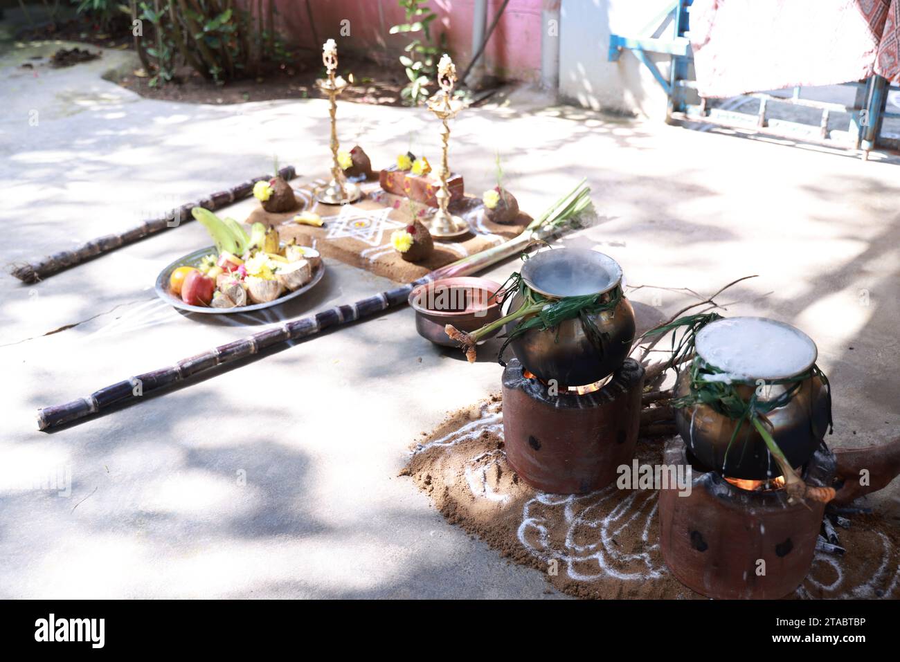 Traditional Thai Pongal festival celebration to sun god with sakkara or ...