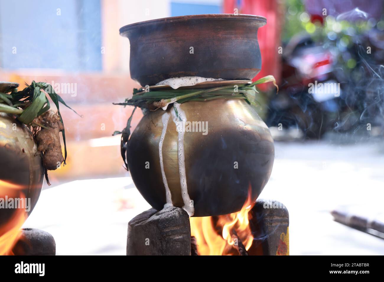 celebrating Traditional Thai Pongal festival to sun god with pot, lamp ...