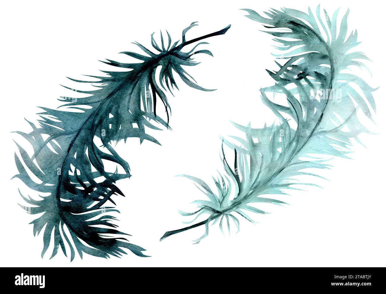 Hand drawn watercolor Mardi Gras carnival symbol. Bird feather quill ...