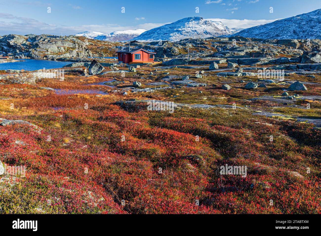 Fall colors nordland norway hi-res stock photography and images - Alamy