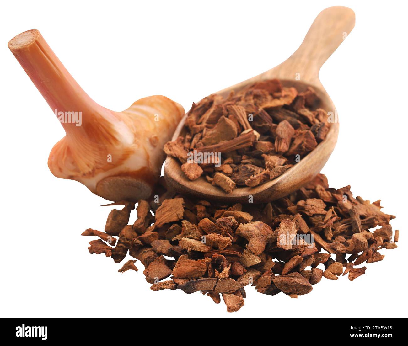 Alpinia galanga or Aromatic ginger fresh and dried Stock Photo - Alamy
