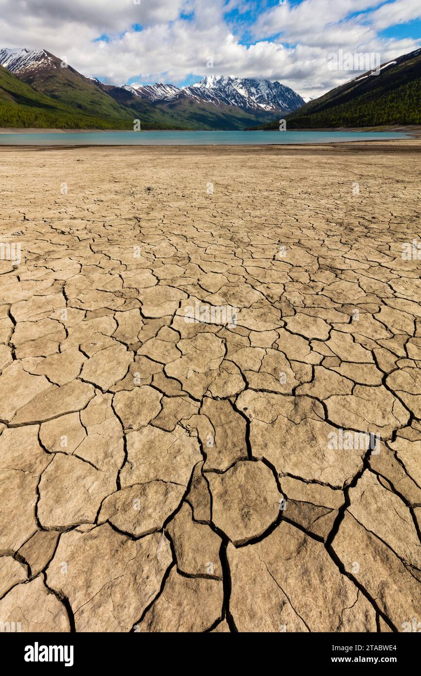 Mud patterns hi-res stock photography and images - Alamy