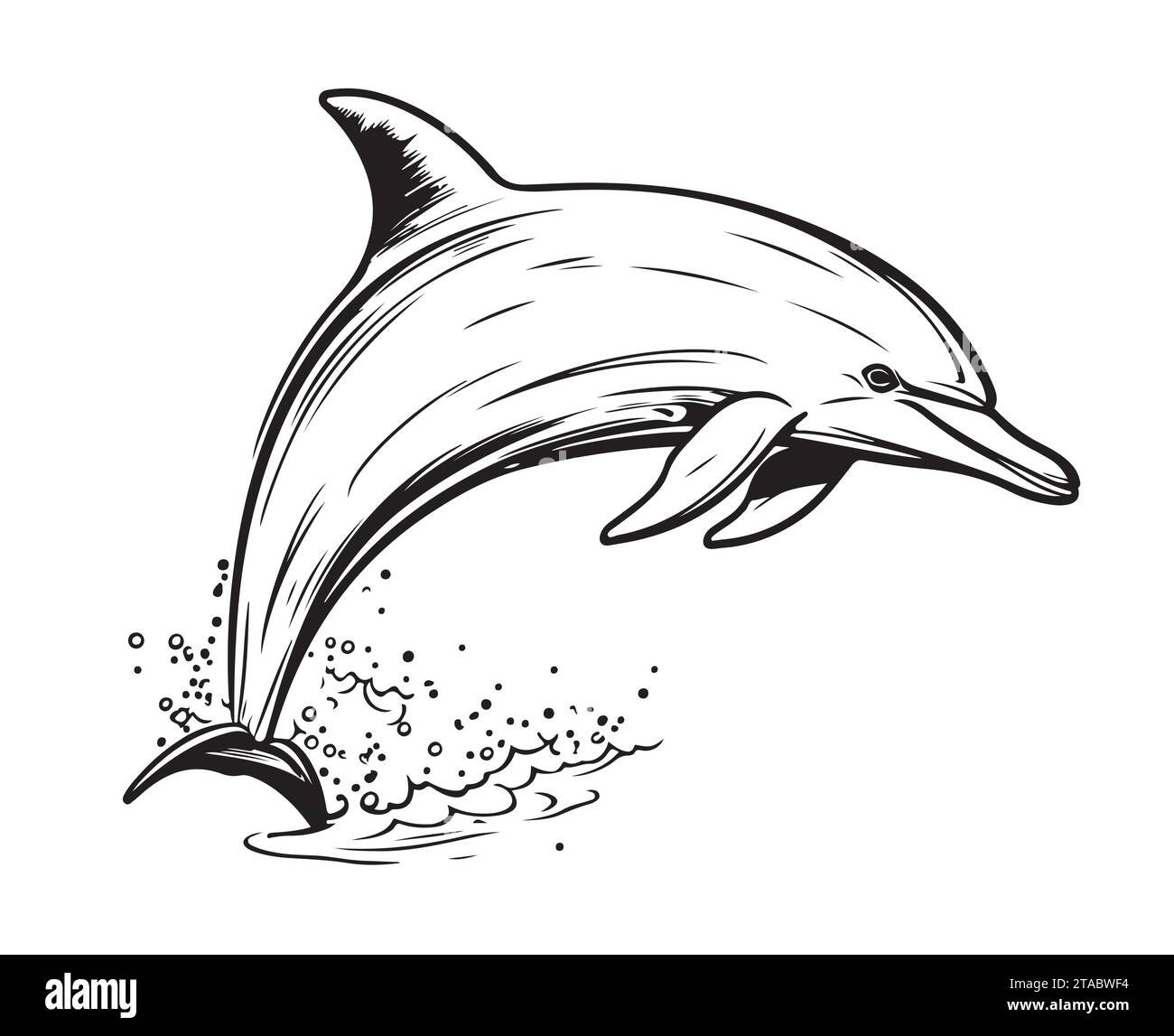 Dolphin jumping hand drawn sketch Vector illustration Stock Vector ...