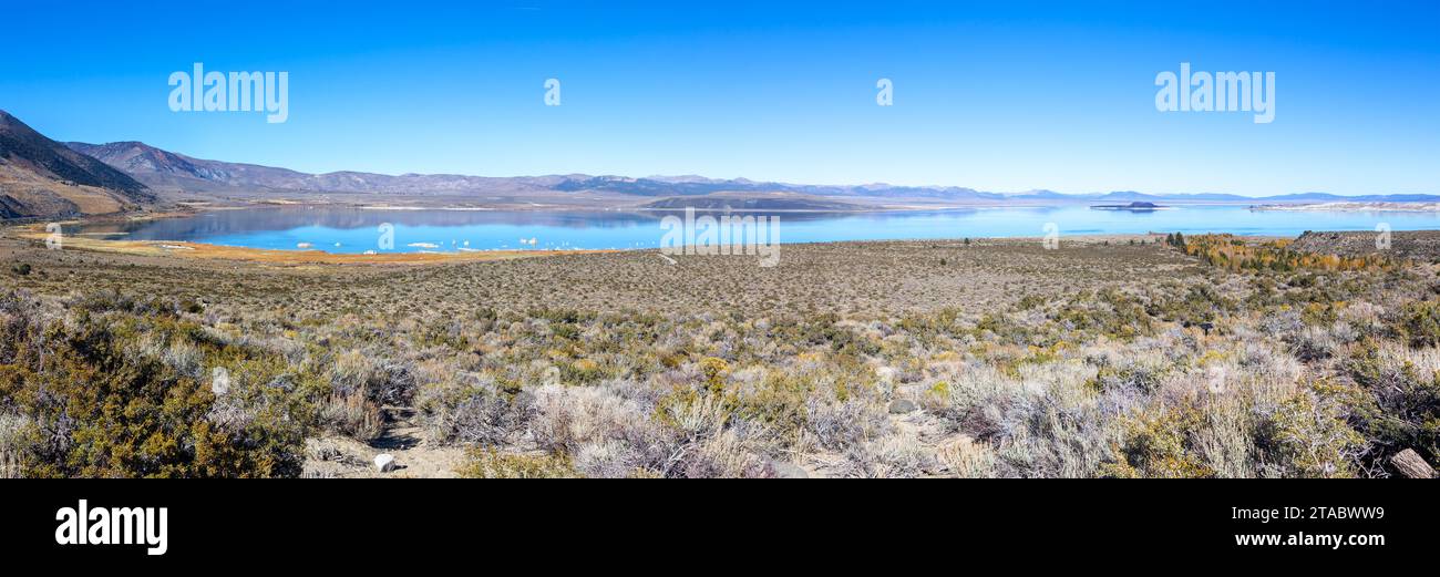 Mono Lake Wide Panoramic Landscape View Famous Tufa Saline Rock ...