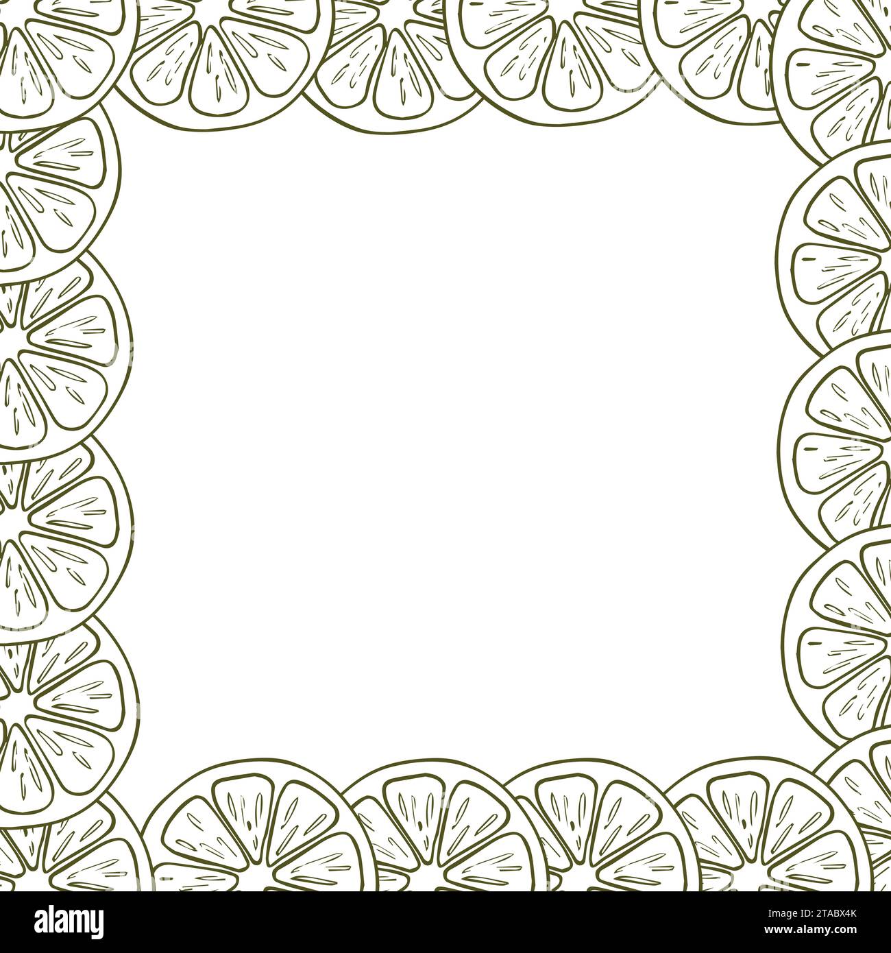 A border of lemon slices. A composition of citrus fruits in a graphic ...