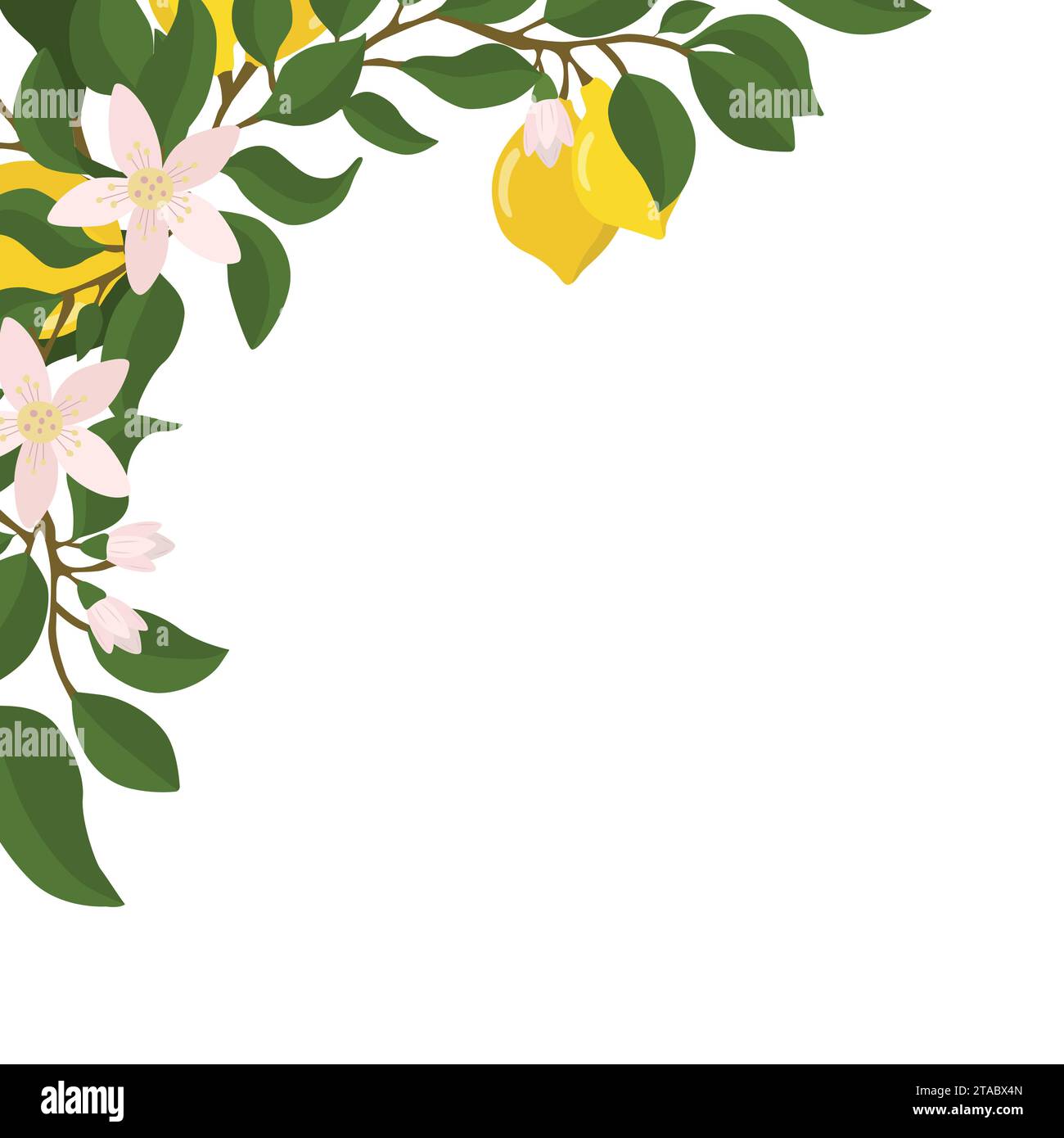A border of lemon twigs and lemons in the corner of the composition ...