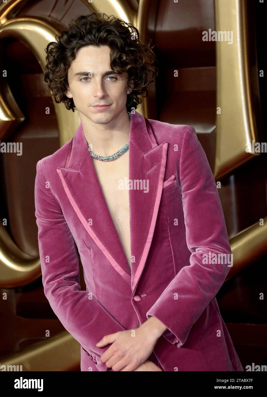Nov 28, 2023 - London, England, UK - Timothee Chalamet attending Wonka ...