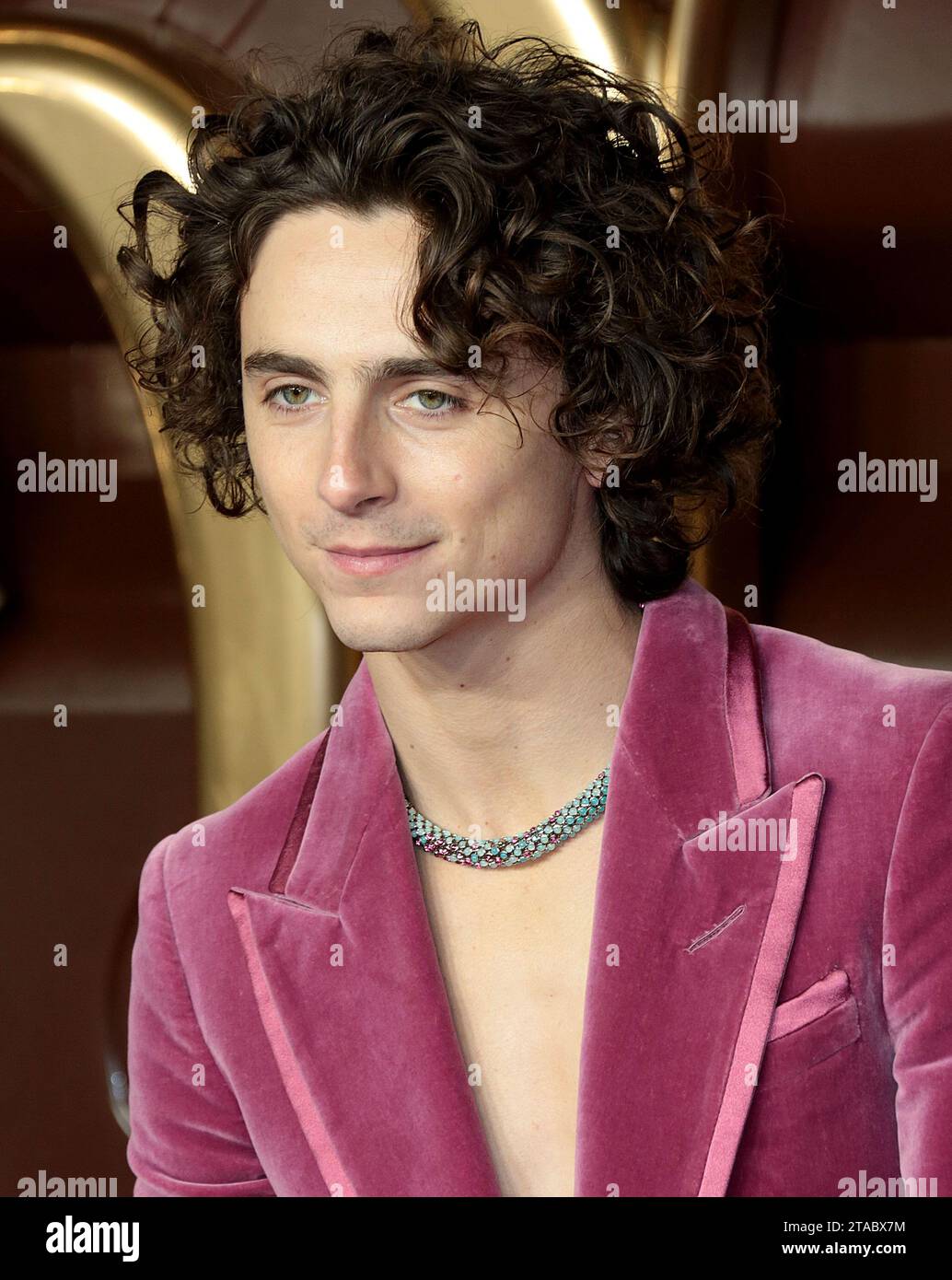 Nov 28, 2023 - London, England, UK - Timothee Chalamet attending Wonka ...