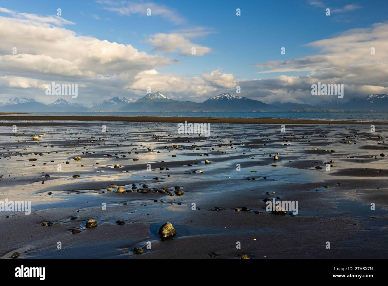 Homer beach hi-res stock photography and images - Alamy