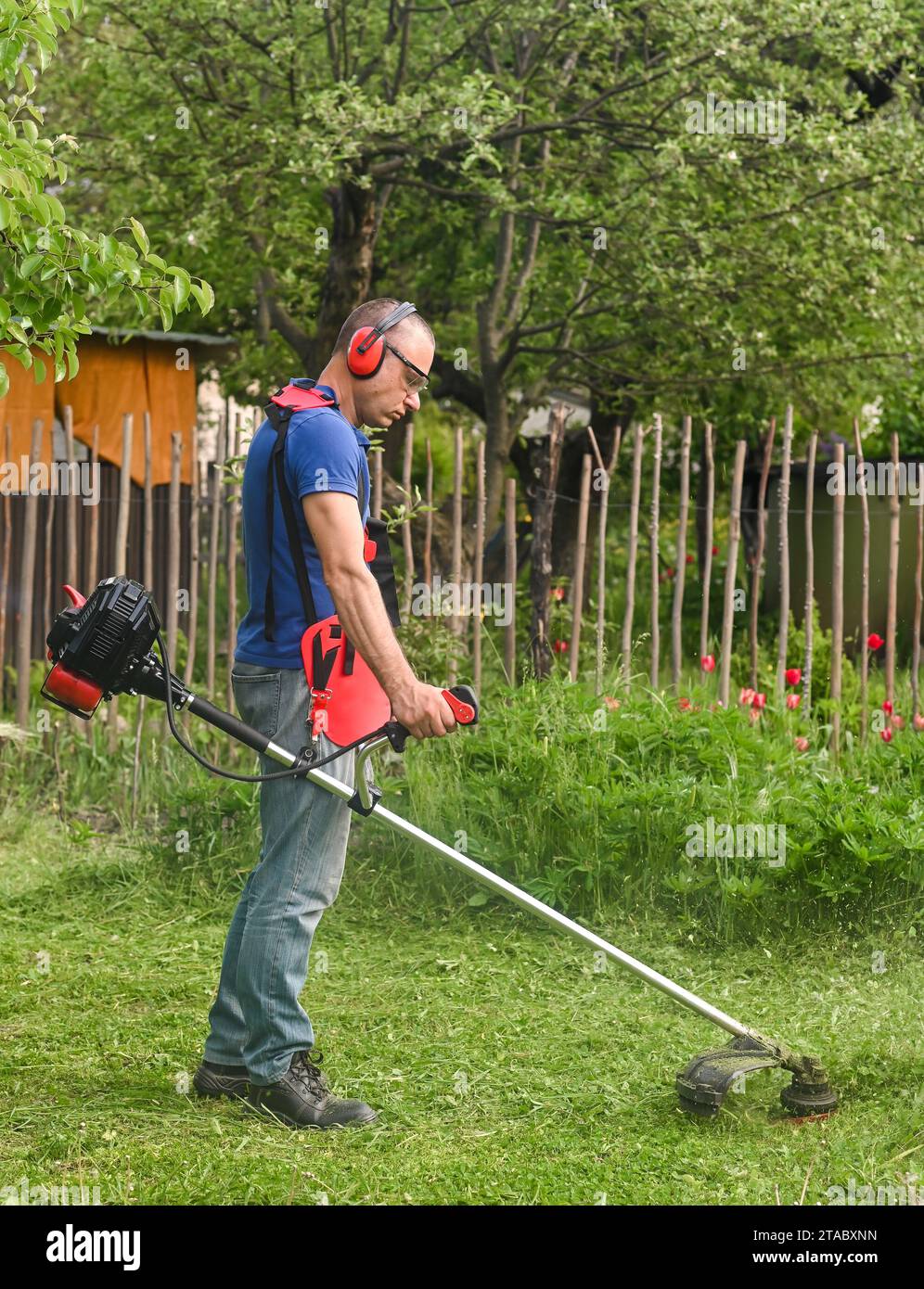 lawn trimming with hand mower Stock Photo - Alamy
