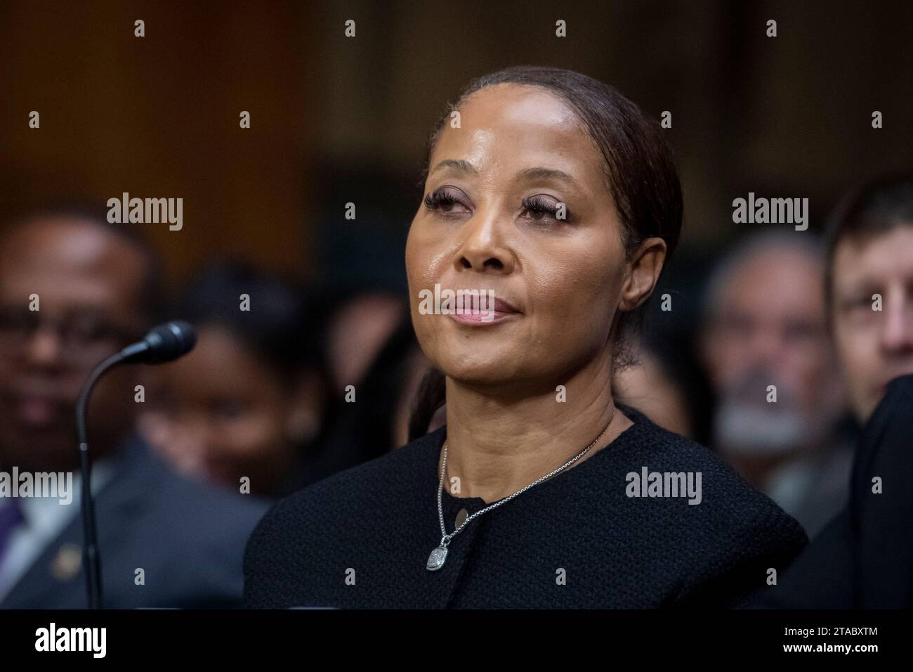 Washington, United States. 29th Nov, 2023. Jacquelyn D. Austin appears ...