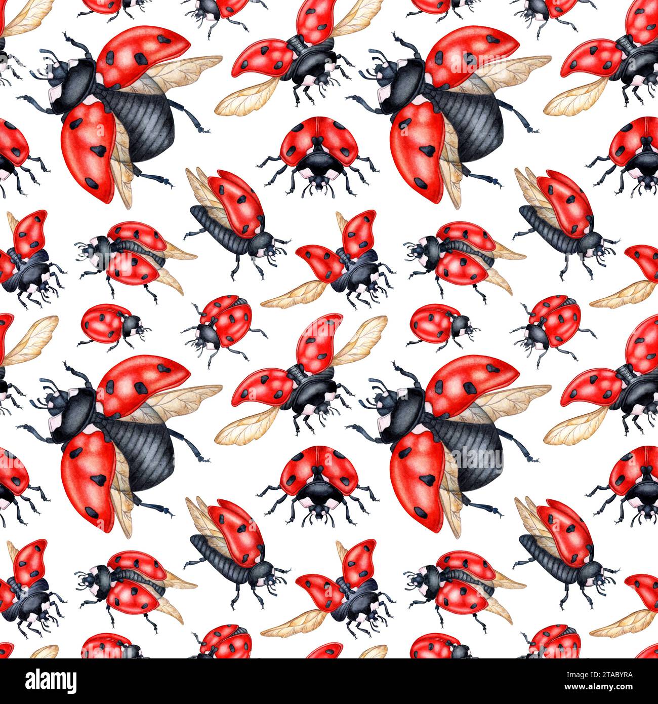 Watercolor illustration of a pattern of red ladybugs with black dots ...