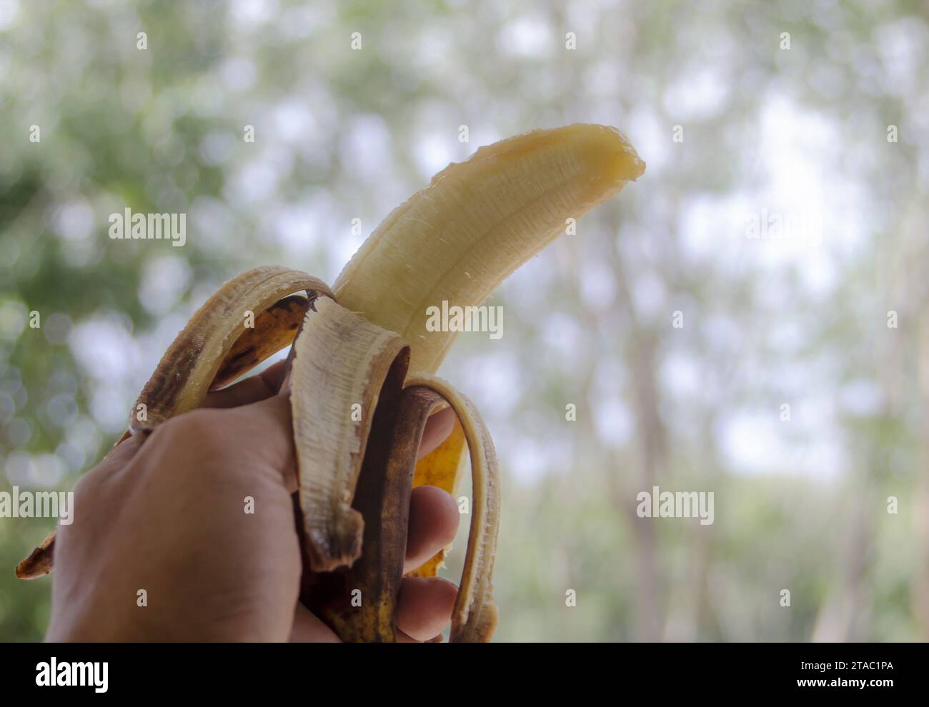 Hand holding overripe banana black hi-res stock photography and images ...