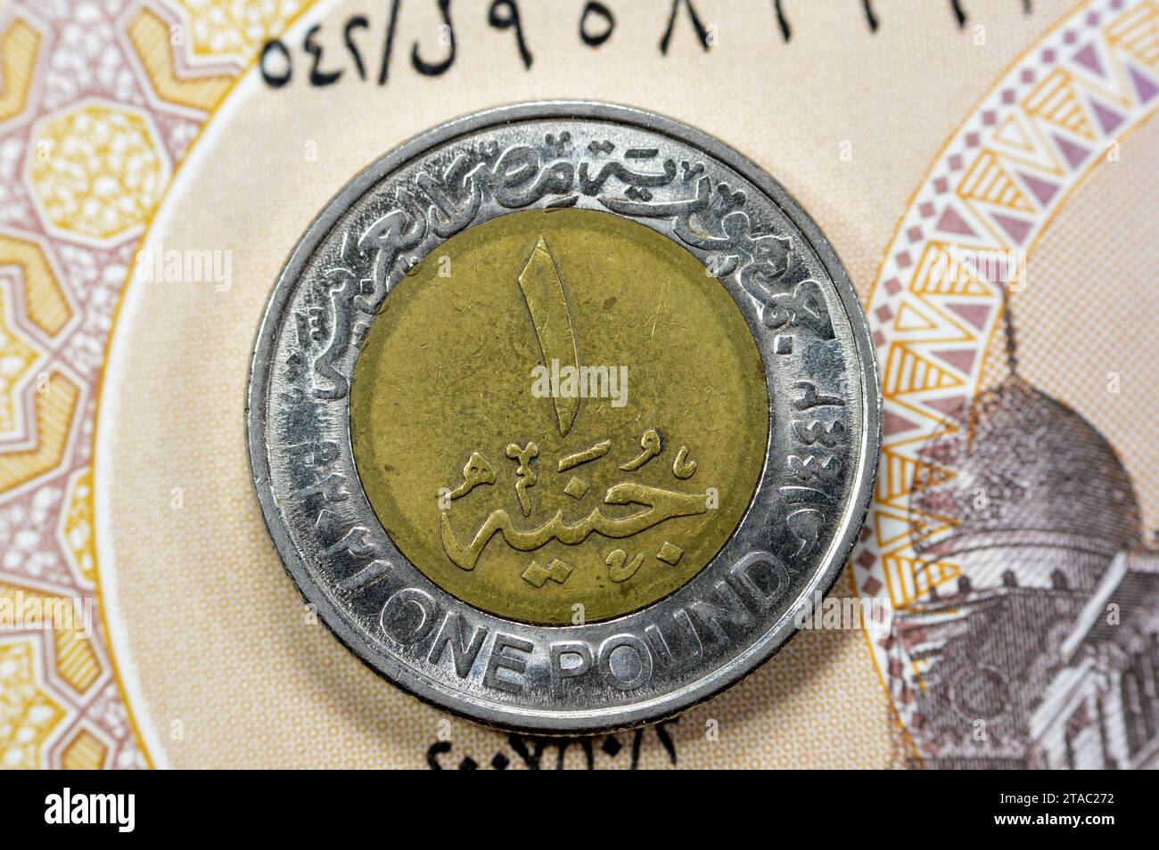 Reverse side of Egyptian one pound coin with value and date, obverse ...