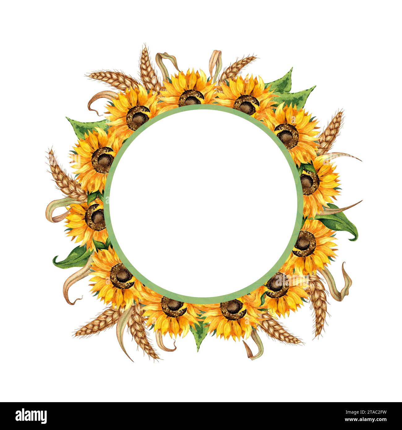 Watercolor illustration of a round frame wreath of sunflowers and ears ...